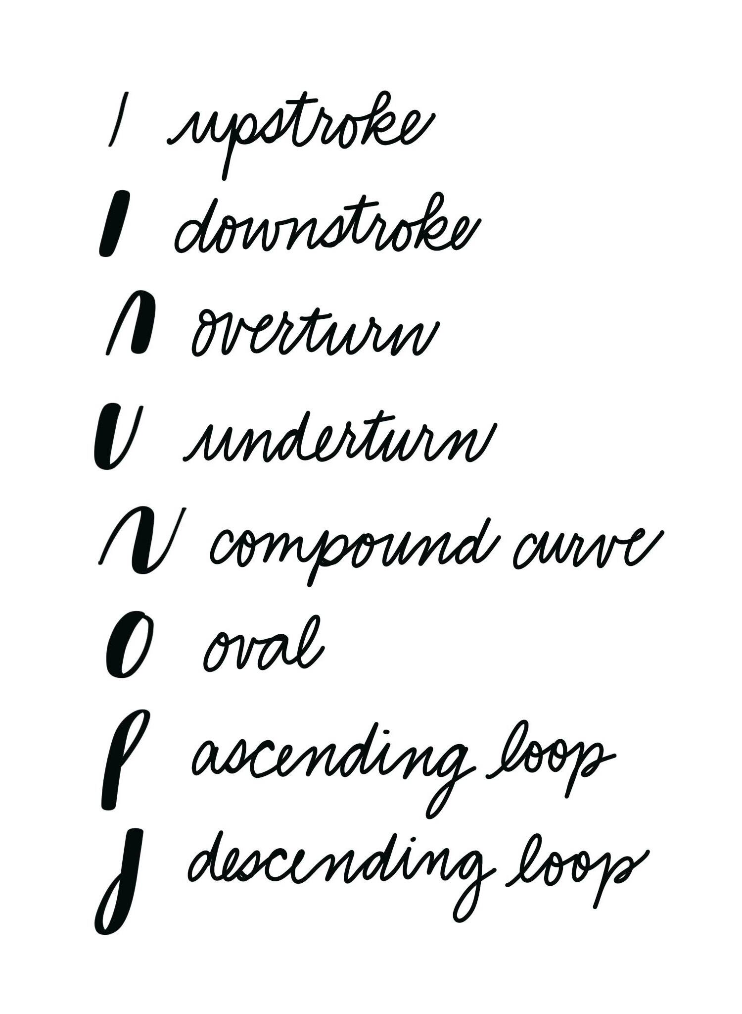 Brush Pen Calligraphy for a Stroke of Genius - Abirpothi