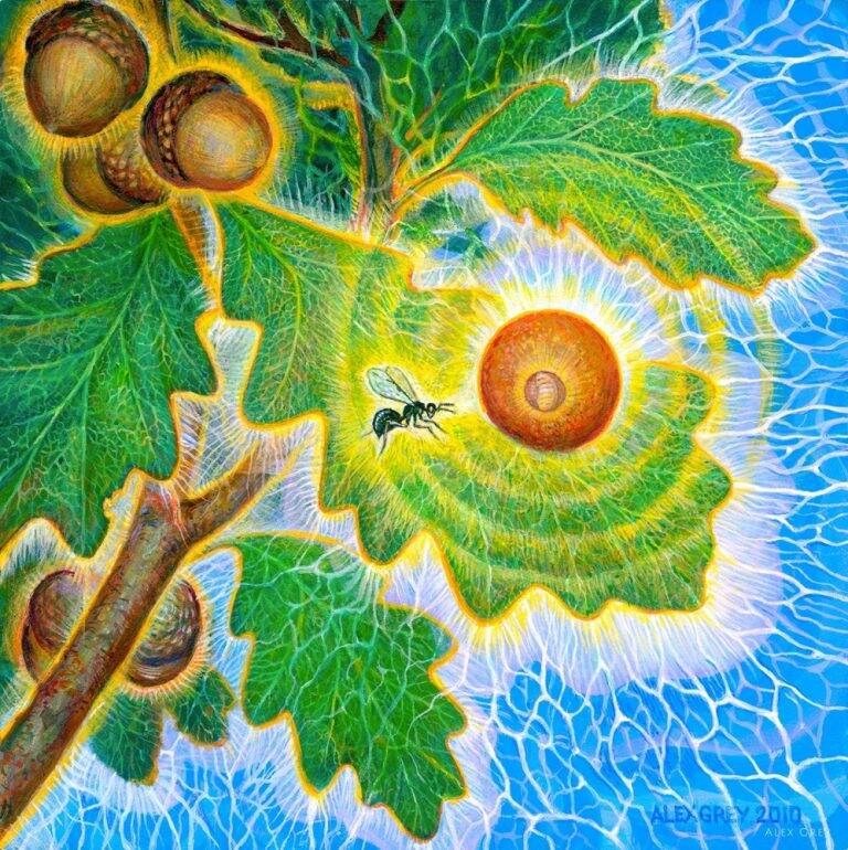 The Sacred Mirrors, The Visionary Art of Alex Grey | Abirpothi
