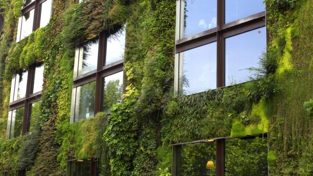 The Need for Urban Vertical Gardens in Space Saving Architecture ...